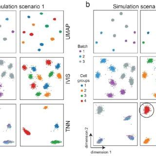 INSCT Robustly Overcomes Batch Effects In Simulated ScRNA Seq Data Download Scientific