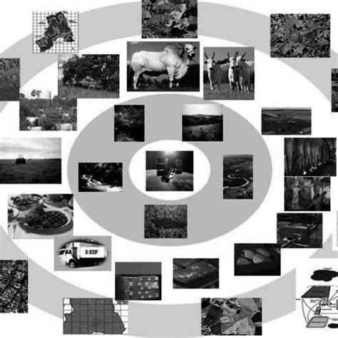 Spatial Information And The Beef Cattle Production Chain Download Scientific Diagram