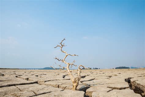 이산화탄소 잡으러 가볼까 탄소제로의 넥스트 레벨 탄소포집기술 이산화탄소 잡으러 가볼까 탄소제로의 넥스트 레벨 탄소포집기술