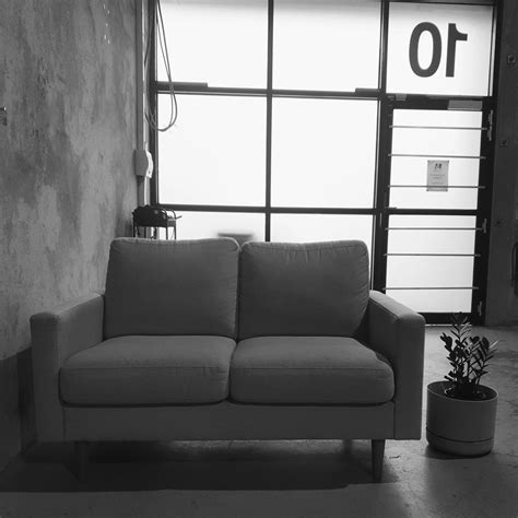 Dr Michelle Rassool Bsc Dvm