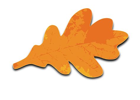 Free Oak Leaf Vector Art Download 3695 Oak Leaf Icons And Graphics
