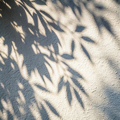 Sunlight Dapple Images Free Download On Freepik