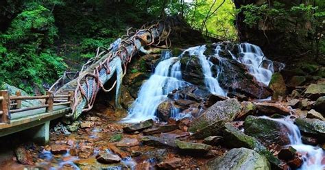 集安旅游景点 集安自驾旅游景点大全 集安必去的景点 第14页 大山谷图库