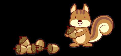 مجموعه عکس Png پر کاربرد سنجاب ترانسپرنت و بدون زمینه رایگان