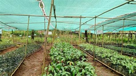 Nippon Koei India Represented By Dr G Sampath Kumar Director Has Been Elected As A Member