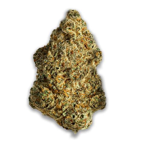 Huala 251 Uk Cin Cinderella Kush