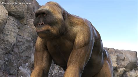 3d Model Big Ape Gigantopithecus Rigged 3d Molier International