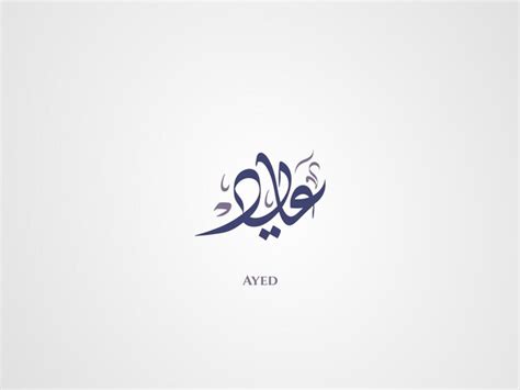Premium Vector Ayed Name In Arabic Diwani Calligraphy