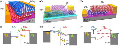 Schematic Diagrams Of Representative Mid‐infrared Photodetectors Based Download Scientific