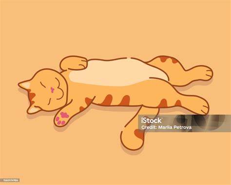 편안한 자세로 잠자는 생강 고양이 귀여운 빨간 얼룩 무늬 고양이는 신뢰를 반영하는 자세로 잔다 벡터 그림 고양이 새끼에 대한