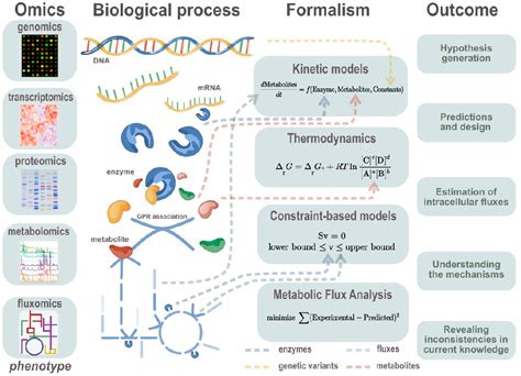 Figure 2 From Metabolic Modelling As A Framework For Metabolomics Data Integration And Analysis