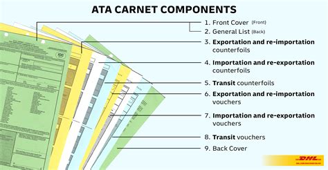 Everything About Ata Carnet Dhl Express My