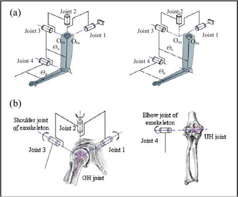 Figure 1 From A Number Synthesis Method Of The Self Adapting Upper Limb