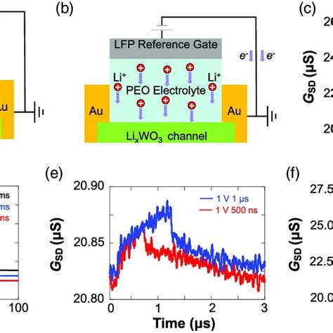 Stp Ltp And High‐speed Programming Of Our Liwes A Ionic Gating