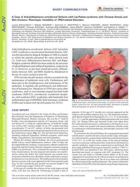 Pdf A Case Of Ankyloblepharon Ectodermal Defects Cleft Lip Palate Syndrome With Choanal