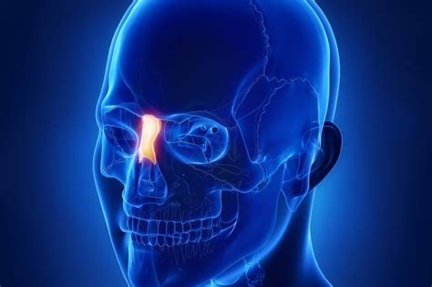 【医師監修】鼻骨骨折で手術が必要になるのはどんなとき？ 医師が作る医療情報メディア【medicommi】