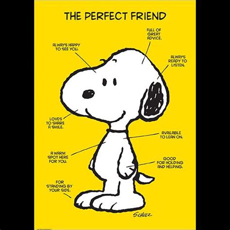 Peanuts Mcgregors Teacher Supplies