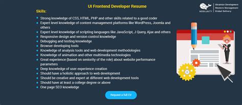 Remote UI Developer Vs UI Frontend Developer Mobilunity