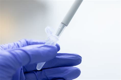 중합효소 연쇄 반응 및 아가로즈 젤 전기 동아나는 실험실에서 생화학 분자 생물학 유전학 및 임상 화학에 사용되는 젤 전기 동거의 방법입니다 Dna에 대한 스톡 사진 및 기타