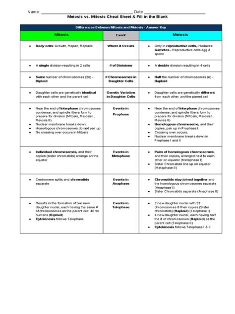 7ll Meiosis Summary Cheat Sheet 2018 Public Pdf Meiosis Mitosis