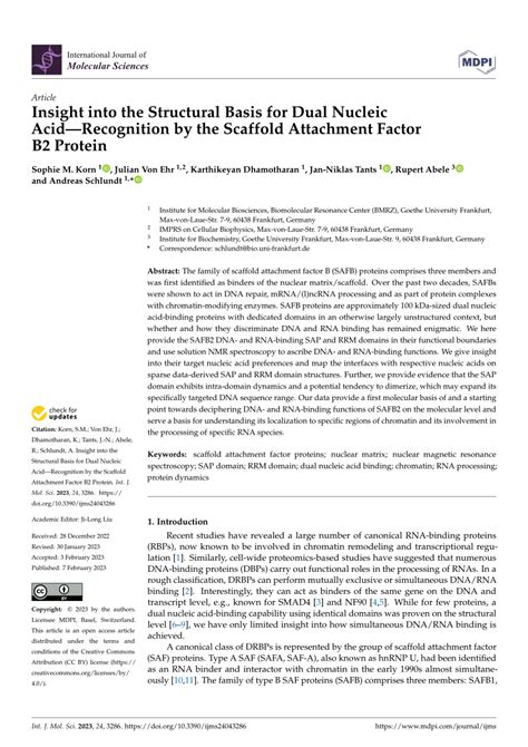 Pdf Insight Into The Structural Basis For Dual Nucleic Acid