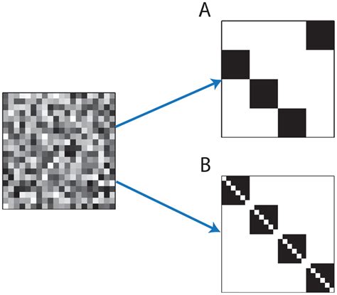 Spontaneous Emergence Of Global Structures From Initially Random Download Scientific Diagram