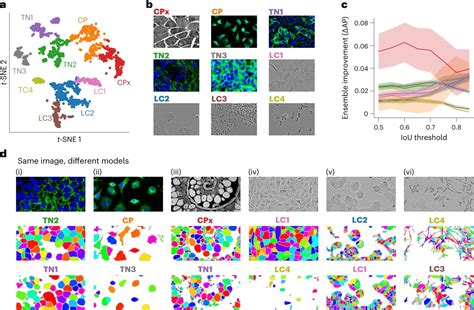 About The Cell Segmentation By Using Cellpose 22 Image Analysis