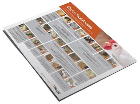 Free Chicken Fecal Analysis Poster