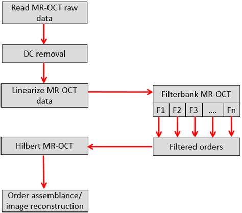 Flowchart For Mr Oct Processing Download Scientific Diagram