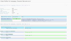 I18N Internationalization Saptechnicalguru Com