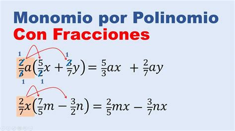 Todo Lo Que Necesitas Saber Sobre El Examen De Polinomios