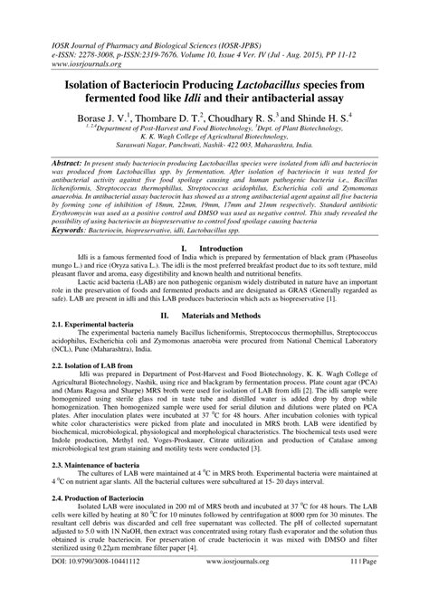 Pdf Isolation Of Bacteriocin Producing Lactobacillus Species From