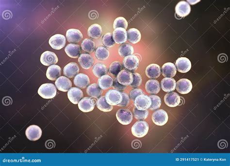 Staphylococcus Bacteria 3d Illustration Stock Illustration Illustration Of Identification