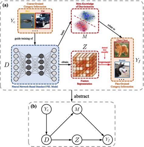 A Illustration Of The Causal Graph For Cg Fsl We Use Examples To Download Scientific Diagram