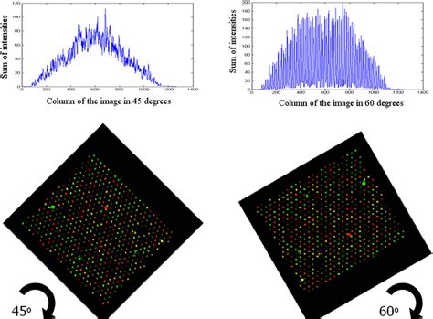 Projection Of A Hexagonal Structured Microarray Image In The Download Scientific Diagram
