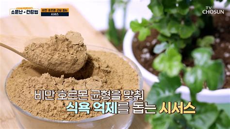 폭식 예방 And 지방 분해 And 식욕 조절을 돕는 시서스~💕 Tv Chosun 230819 방송 소문난 건강법 12회