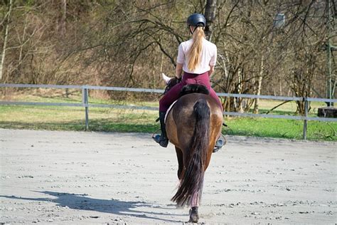 Horseback Riding Horse Girl Free Photo On Pixabay Pixabay