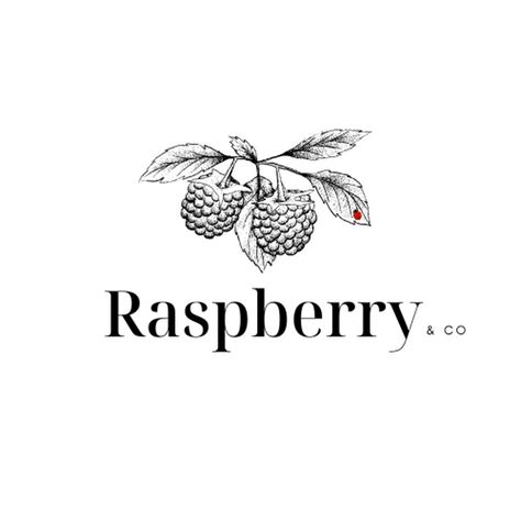 Raspberry And Co Youtube
