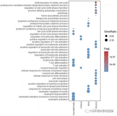 复现《nature Communications》图表（四）：ggplot画多组富集气泡图 知乎
