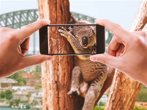 Chip de internet Austrália qual o melhor preços como comprar