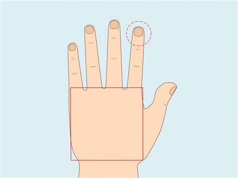 Types Of Elemental Hands In Palmistry Shape And Personality