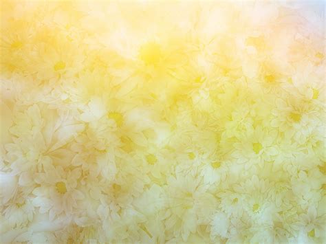 Free Photo Light Texture Light Texture Free Download Jooinn