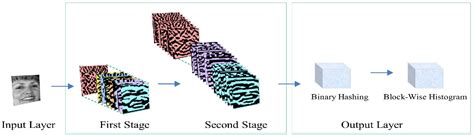 figure 1 from fusion of multiple simple convolutional neural networks