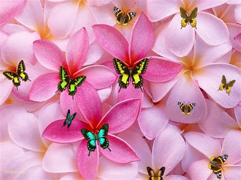 46 Wallpapers For Girly Girl Wallpapersafari