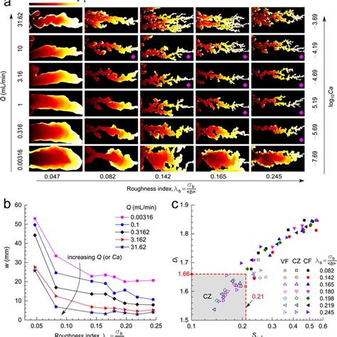 A Evolution Of The Fluid‐fluid Displacement Fronts With Time These