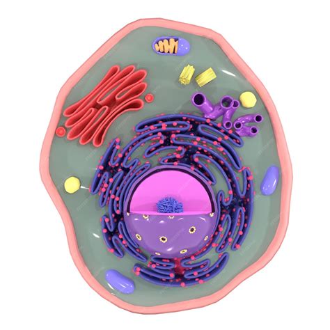 Premium Photo Isolated Cell On White Background