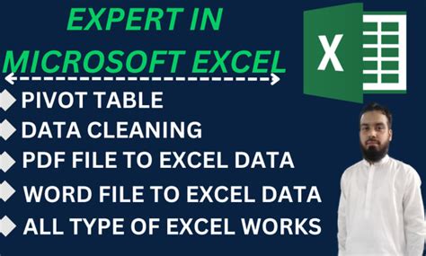 Expert In Ms Excel Pivot Tables Excel Formatting And Data Cleaning