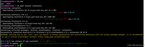 python虚拟环境virtualenv安装的详细教程保姆级 windows和linux python 脚本之家