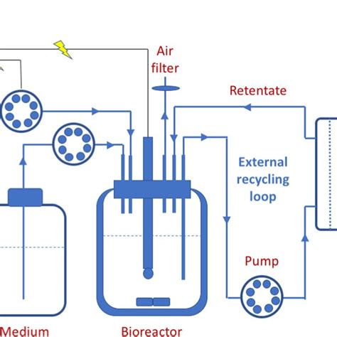 Bioreactor Design For Continuous Propionic Acid Production With Cell Download Scientific