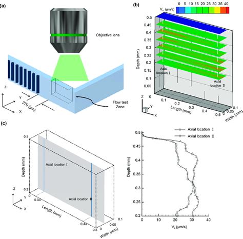 A Schematic Illustration Of The Microfluidic Device Depicting The